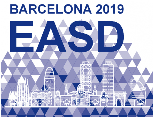SB Service 4K touch screens technology for EASD 2019